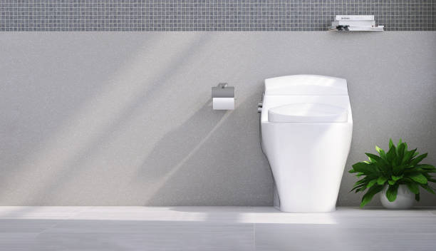 A Must-Read Guide to Finding the Best Toilet Supplier for Your Needs ...